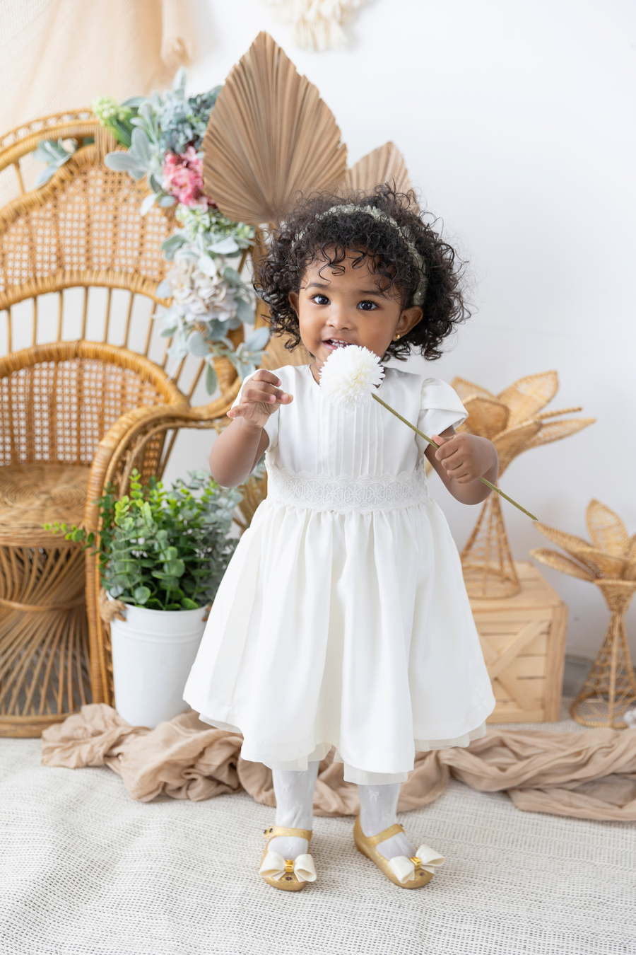 Collections – Periwinkle